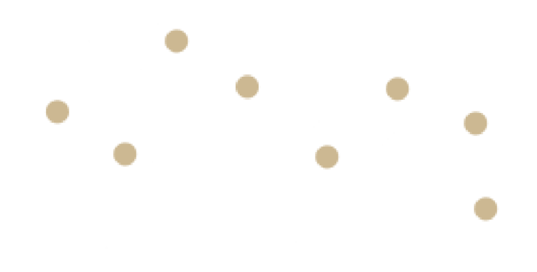 Services – CSI Network